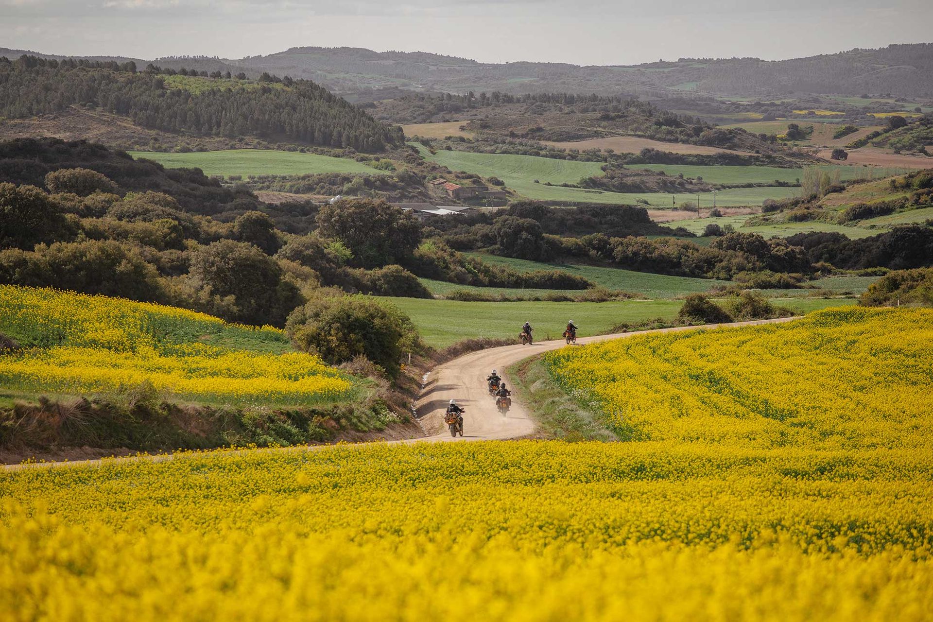 About Us | Adventure Spec EU