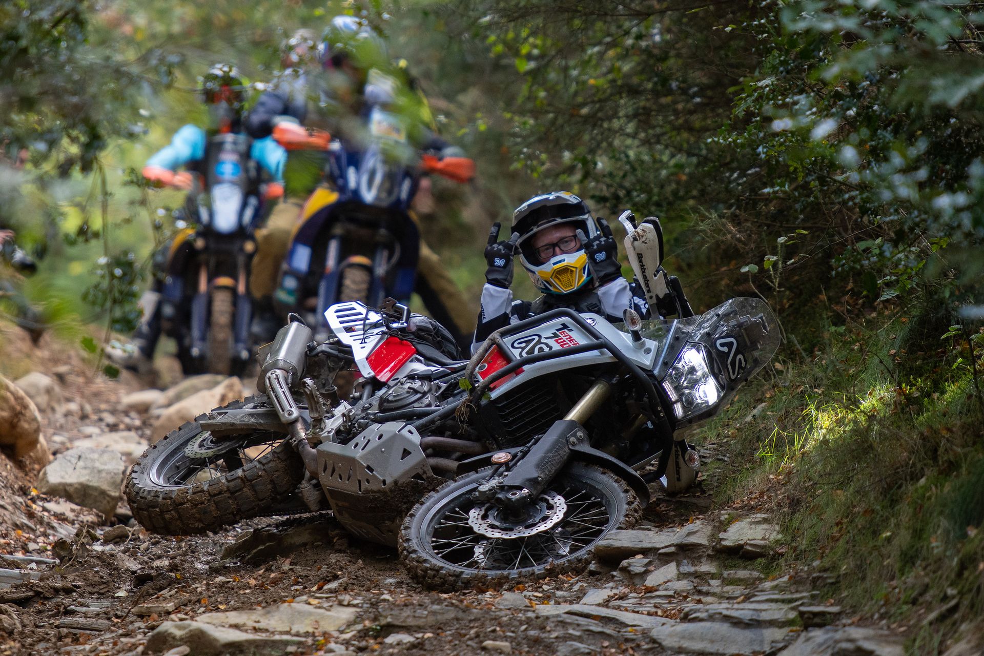 About Us | Adventure Spec EU